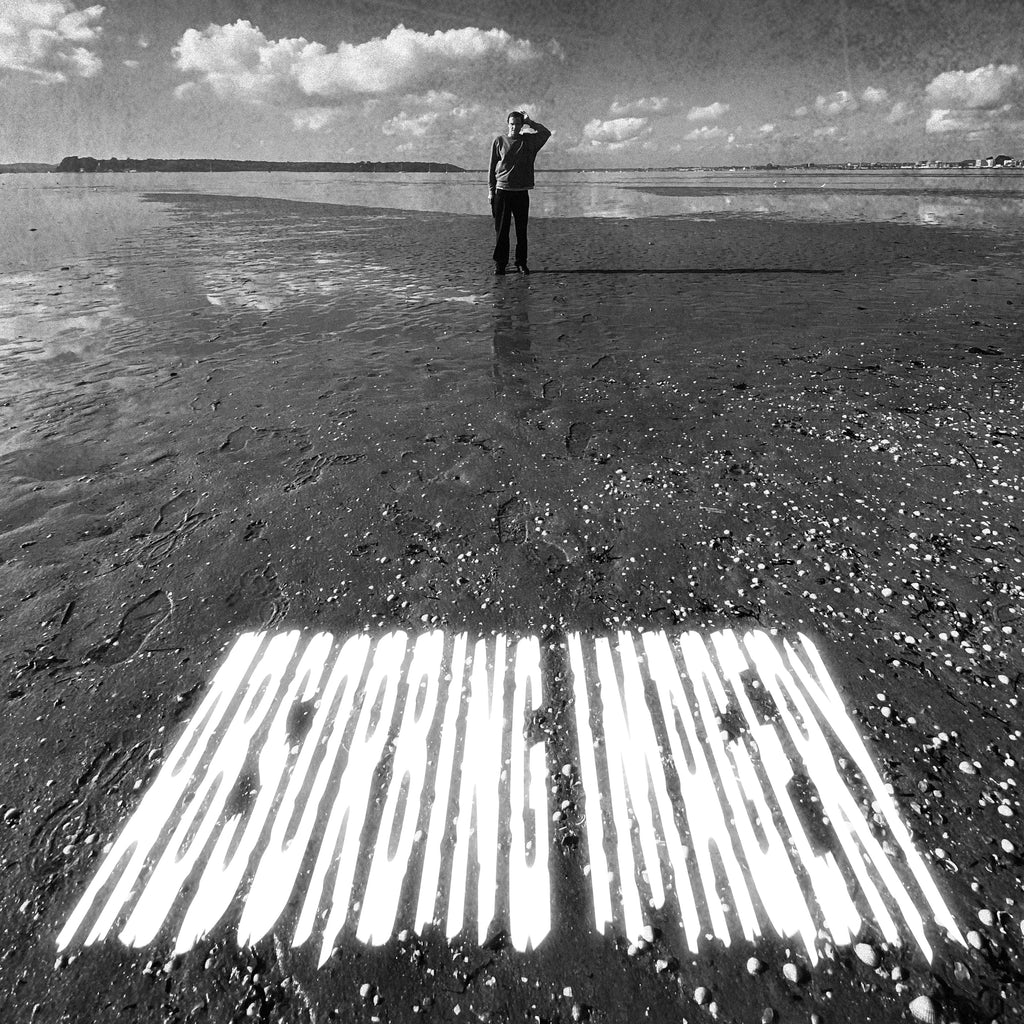 Verb T - Absorbing Imagery (Prod. Vic Grimes) (Digital) – High Focus ...